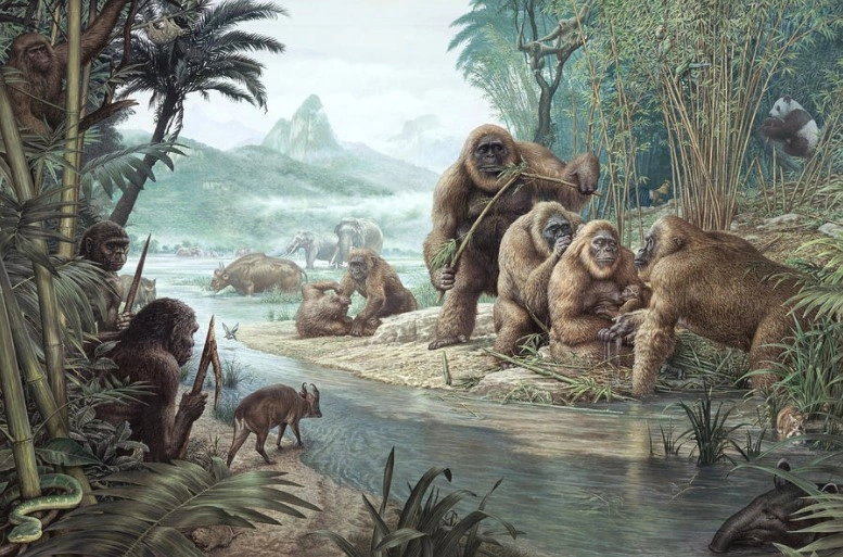 Gigantopithecus | Prehistoric Wiki | Fandom