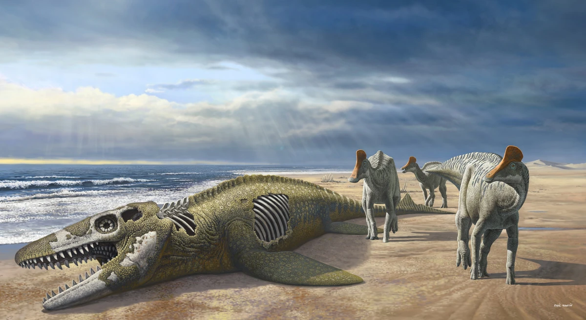 Minqaria | Prehistoric Wiki | Fandom