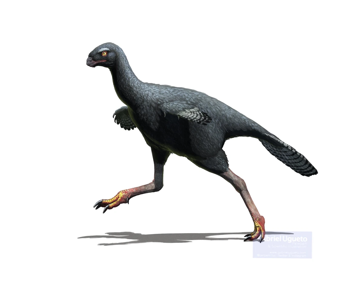 Caudipteryx | Prehistoric Wiki | Fandom
