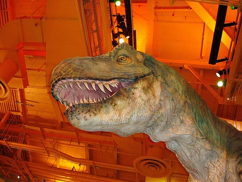 Category:CC-BY-SA files | Prehistoric Wiki | Fandom