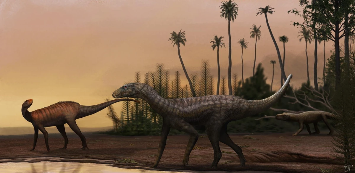 Gondwanax | Prehistoric Wiki | Fandom