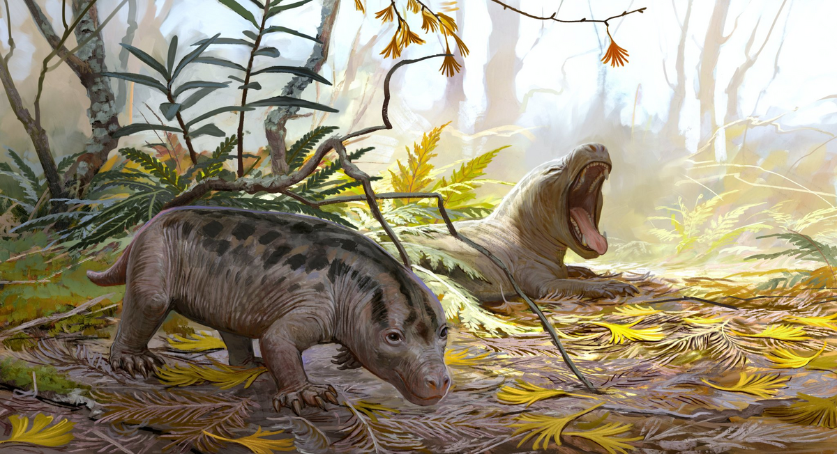 Paratraversodon Prehistoric Wiki Fandom