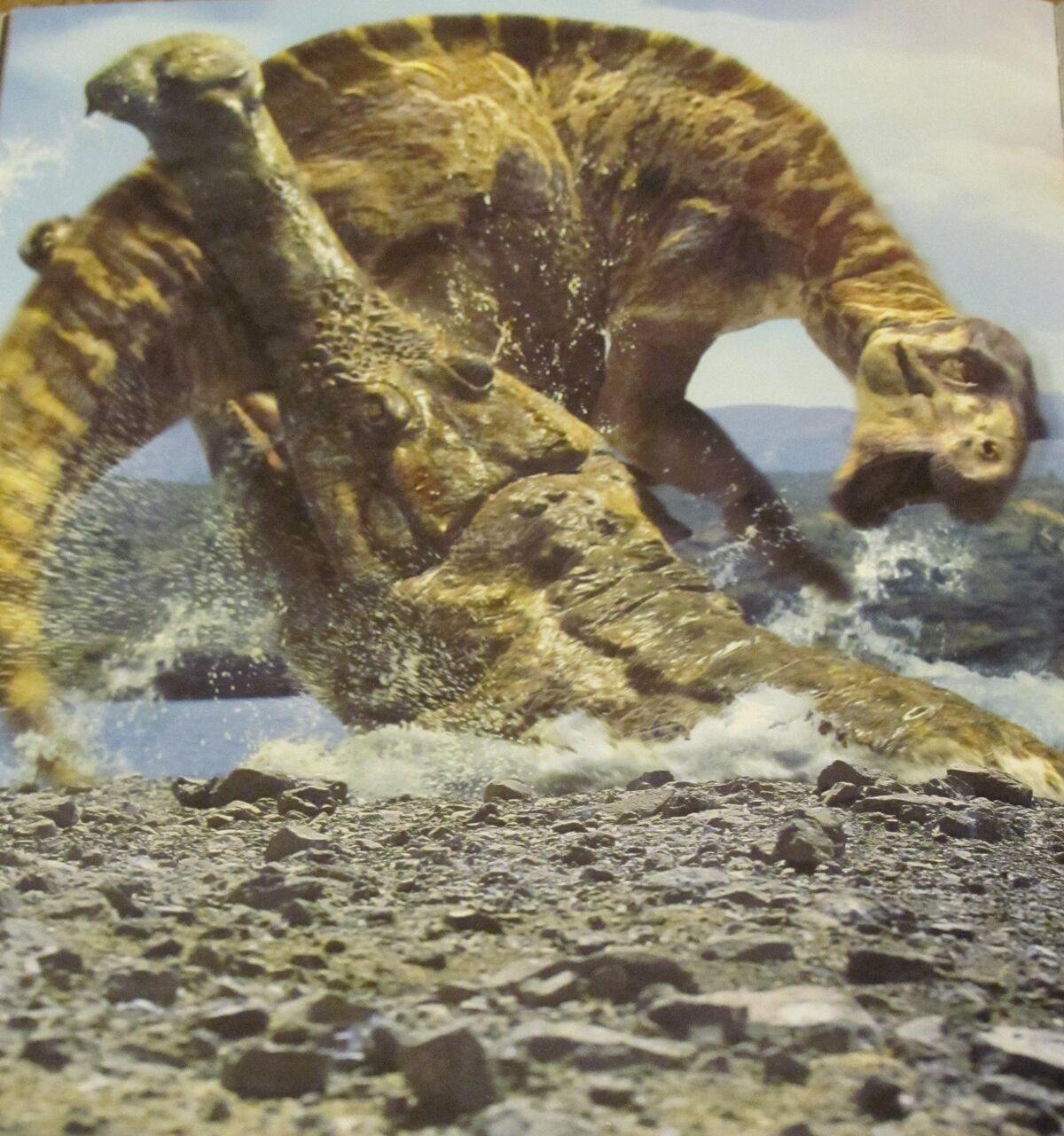 Sarcosuchus Prehistoric Wiki Fandom