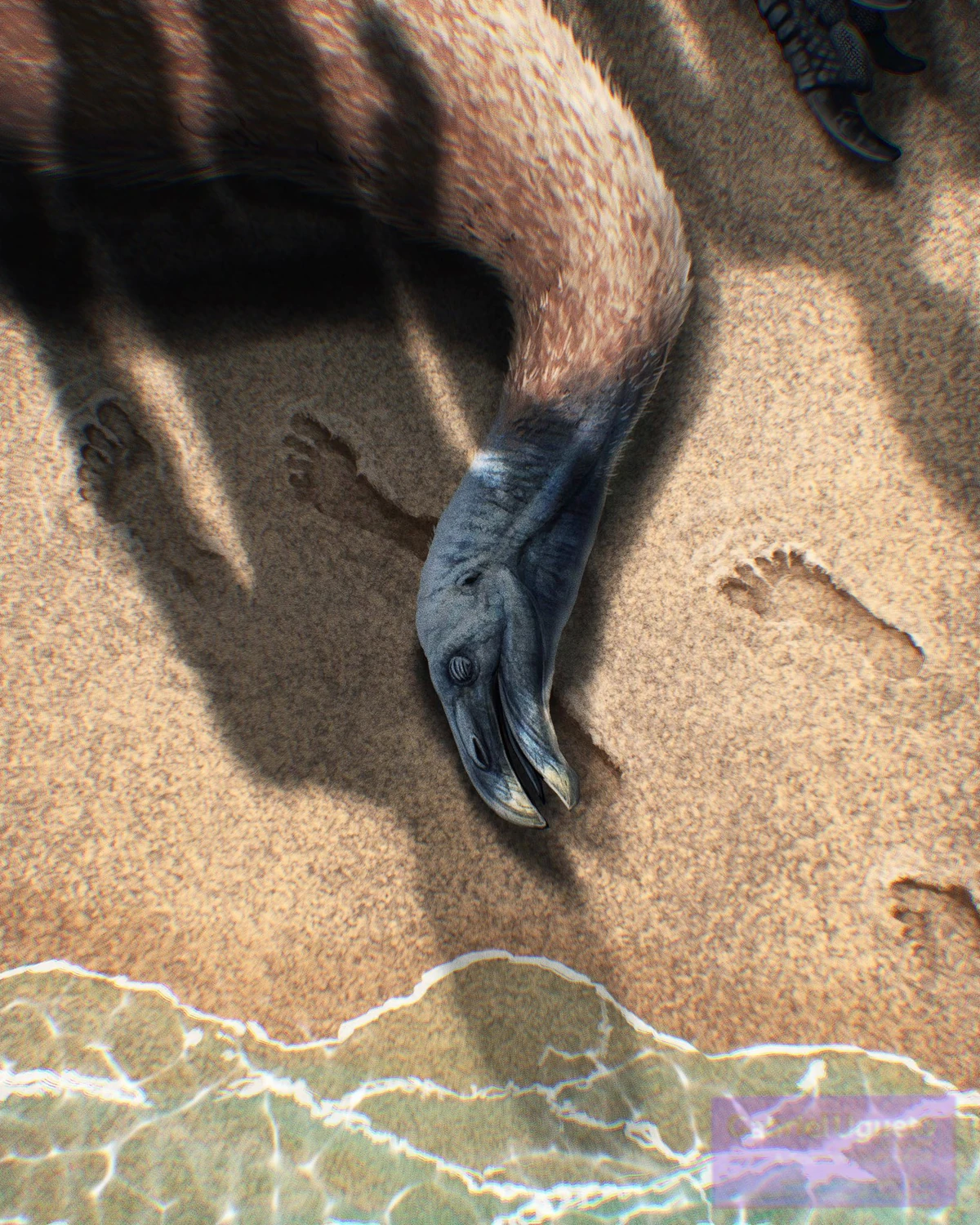 South Island giant moa | Prehistoric Wiki | Fandom