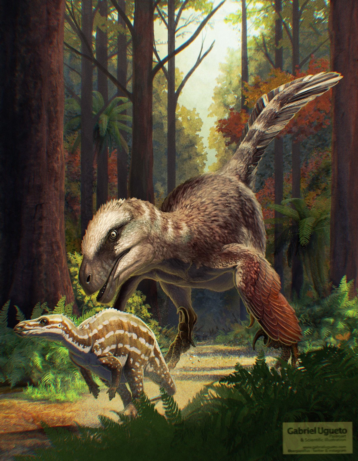 Utahraptor | Prehistoric Wiki | Fandom