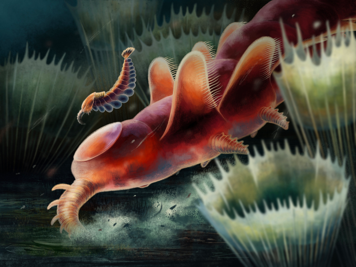 Mieridduryn Prehistoric Wiki Fandom