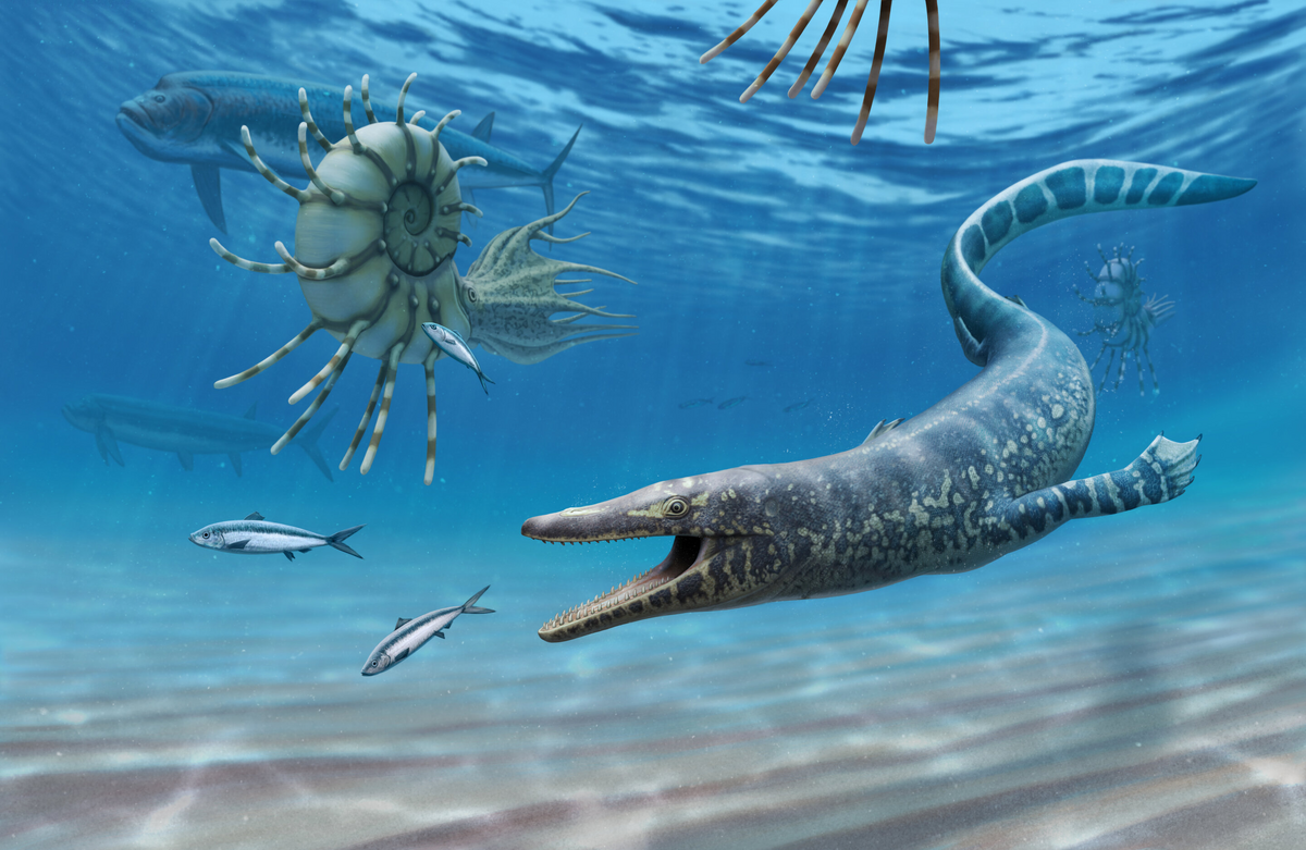 Sarabosaurus Prehistoric Wiki Fandom