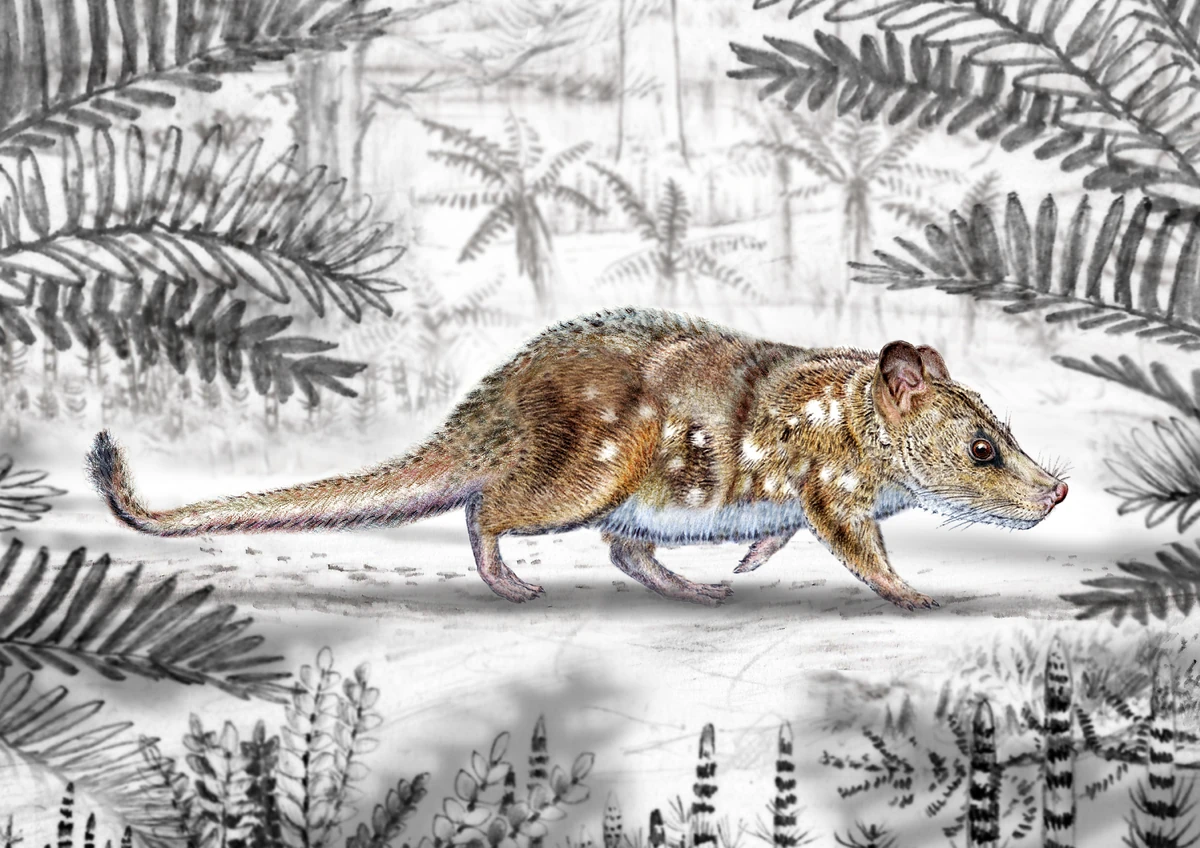 Yeutherium | Prehistoric Wiki | Fandom