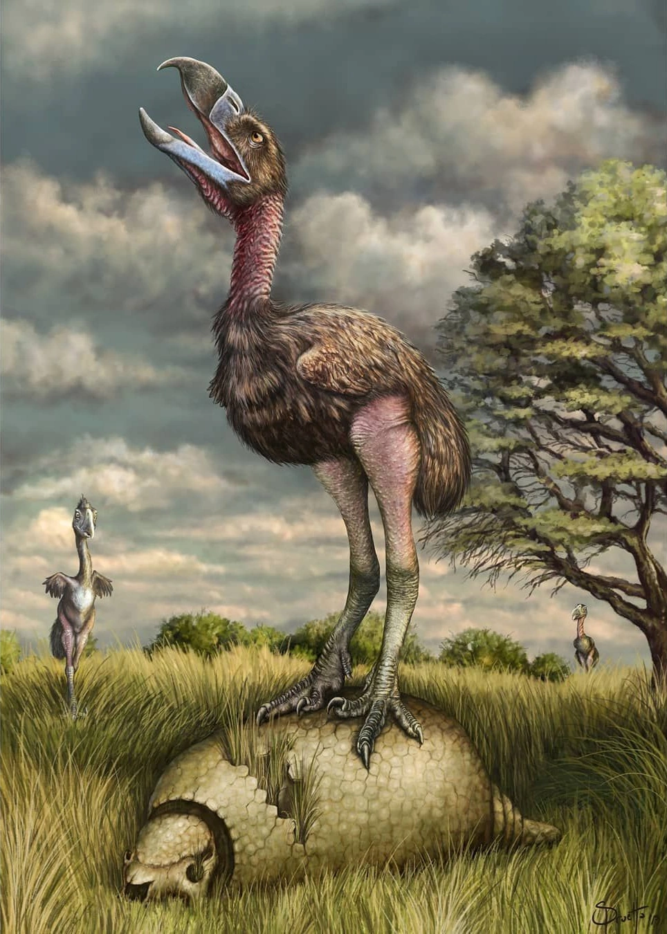 Phorusrhacos | Prehistoric Wiki | Fandom