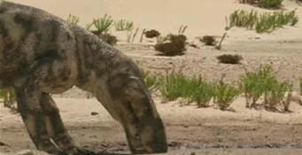 Gorgonopsid | Prehistoric Wiki | Fandom