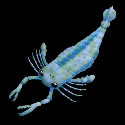 Pterygotus | Prehistoric Wiki | Fandom