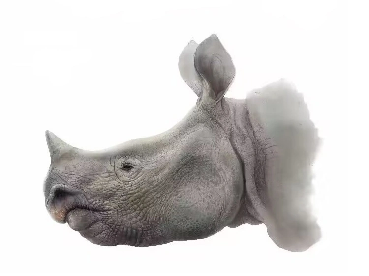 Prosantorhinus | Prehistoric Wiki | Fandom