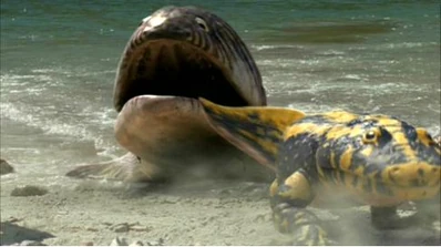 Hyneria | Prehistoric Wiki | Fandom