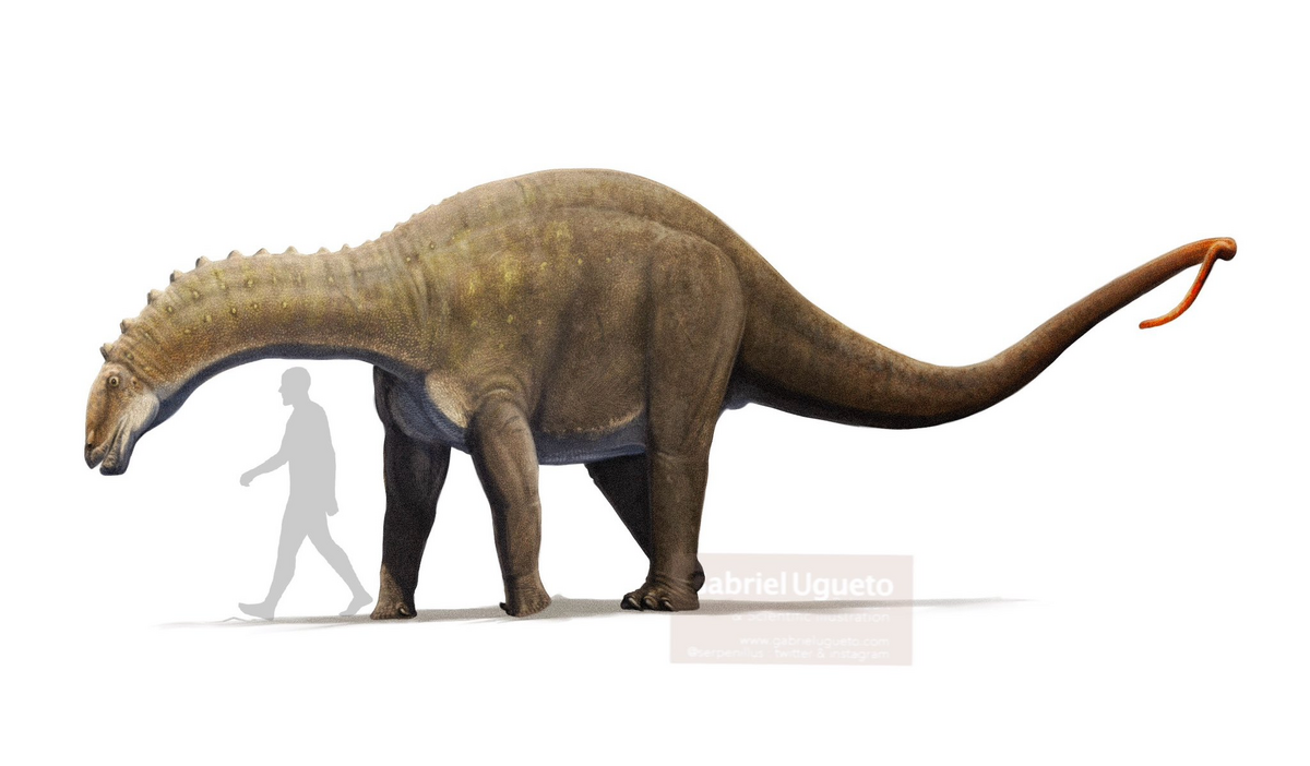 Dicraeosaurus Prehistoric Wiki Fandom