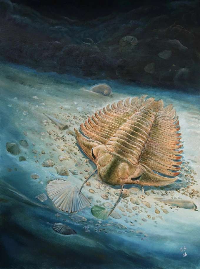 Bohemolichas | Prehistoric Wiki | Fandom