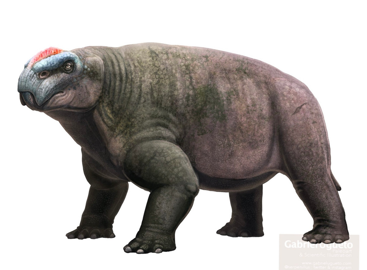 Sangusaurus Prehistoric Wiki Fandom