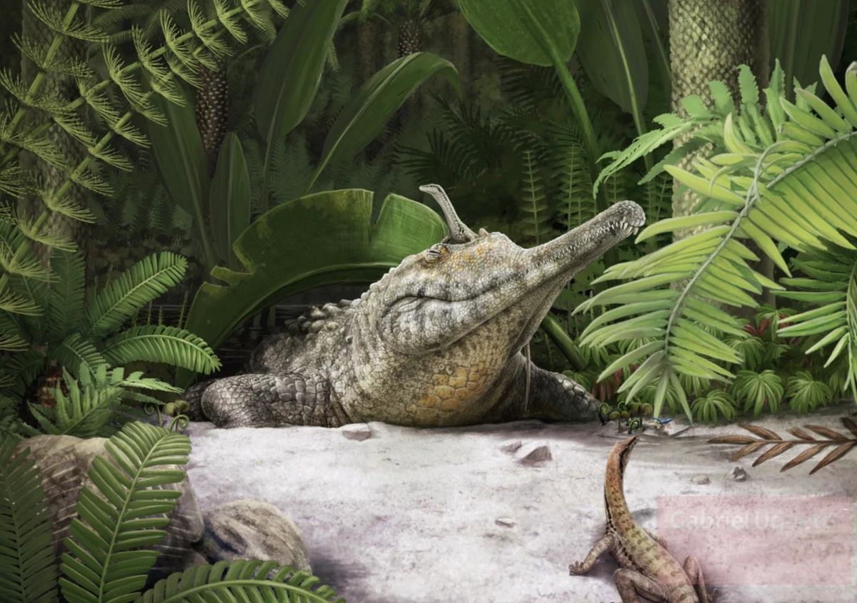 Rutiodon | Prehistoric Wiki | Fandom