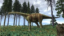 Turiasaurus | Prehistorica Wiki | Fandom