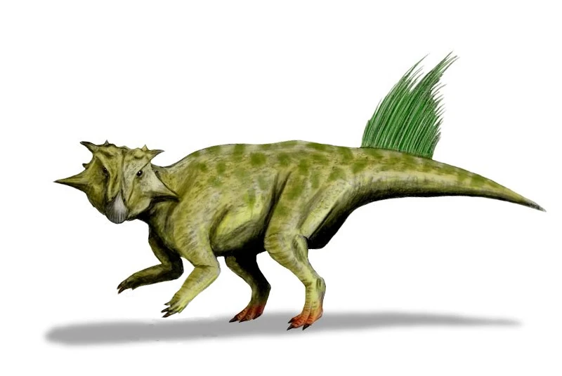 Psittacosaurus Size