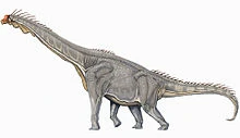 Brachiosaurus | Prehistorica Wiki | Fandom