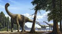 Camarasaurus | Prehistorica Wiki | Fandom