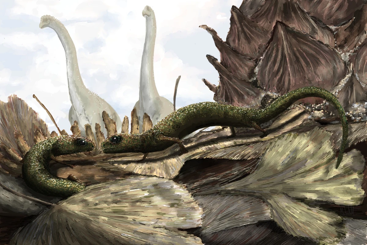 Wesserpeton | Prehistoric Earth Wiki | Fandom