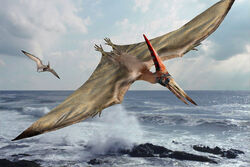 Pteranodon | Prehistoric Earth Wiki | Fandom