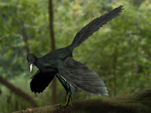 Archaeopteryx | Prehistoric Earth Wiki | Fandom