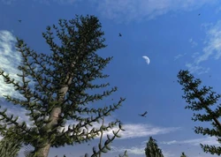 Lepidodendron | Prehistoric Earth Wiki | Fandom