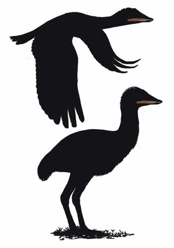 Samrukia | Prehistoric Earth Wiki | Fandom