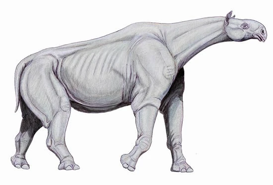 Paraceratherium | Prehistoric Earth Wiki | Fandom