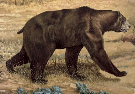 Prehistoric Giant Bear