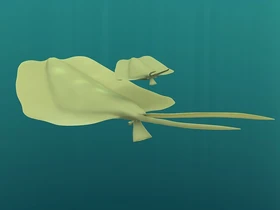 Nectocaris | Prehistoric Earth Wiki | Fandom