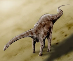 Diplodocus | Prehistoric Earth Wiki | Fandom