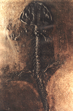 Karaurus | Prehistoric Earth Wiki | Fandom