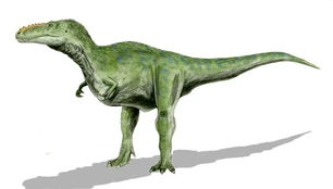 Alioramus | Prehistoric Earth Wiki | Fandom
