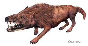 Andrewsarchus | Prehistoric Earth Wiki | Fandom