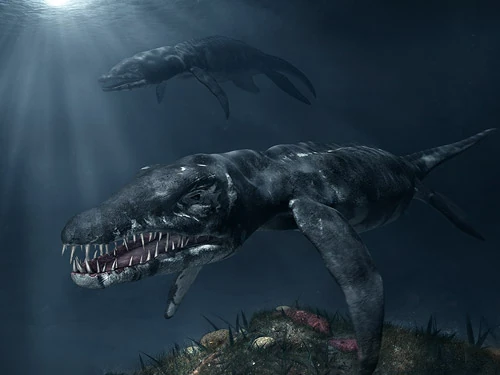 Liopleurodon | Prehistoric Earth Wiki | Fandom