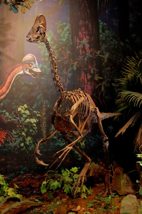 Anzu | Prehistoric Earth Wiki | Fandom