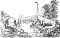 Diplodocus | Prehistoric Earth Wiki | Fandom