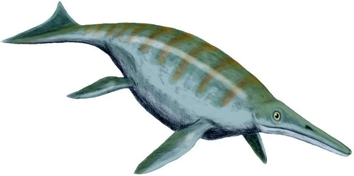 Shonisaurus | Prehistoric Earth Wiki | Fandom