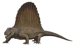 Dimetrodon | Prehistoric Earth Wiki | Fandom