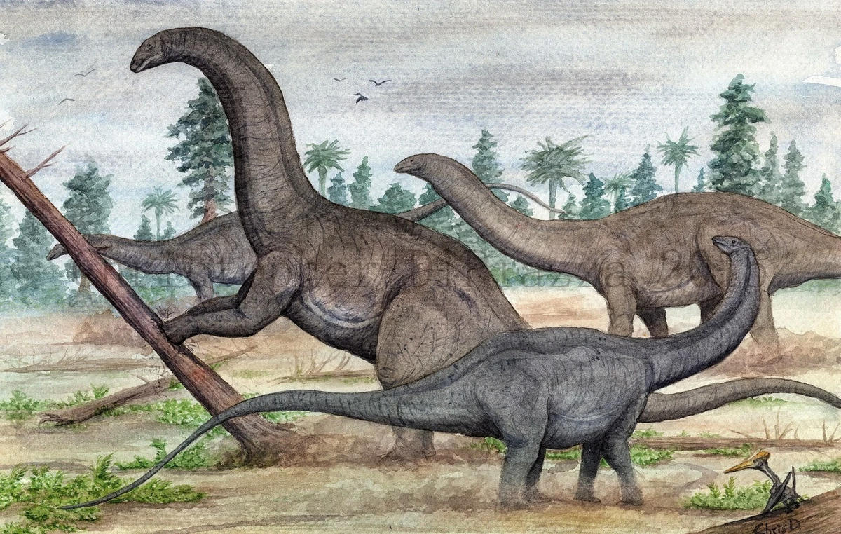 Brontosaurus | Prehistoric Earth Wiki | Fandom