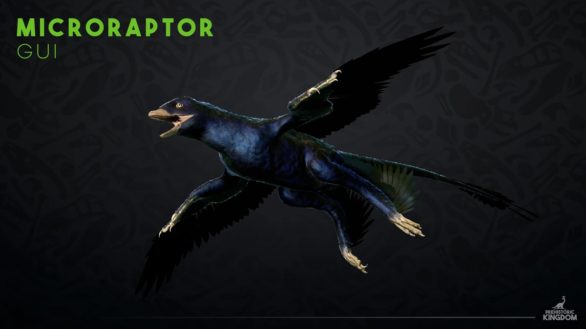 Microraptor | Prehistoric Kingdom Wiki | Fandom