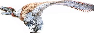Dromaeosaurus | Prehistoric Monsters Wiki | Fandom