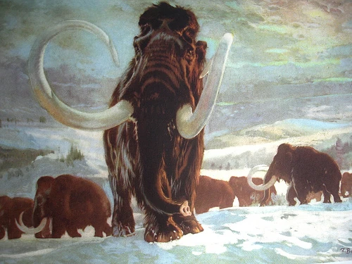 Prehistoric Creatures | Prehistoric Monsters Wiki | Fandom