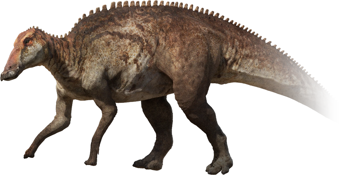 Edmontosaurus | Prehistoric Monsters Wiki | Fandom