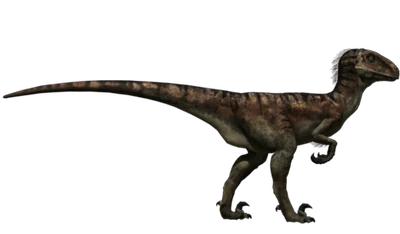 Utahraptor | Prehistoric Monsters Wiki | Fandom