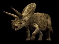 Torosaurus | Prehistoric Monsters Wiki | Fandom