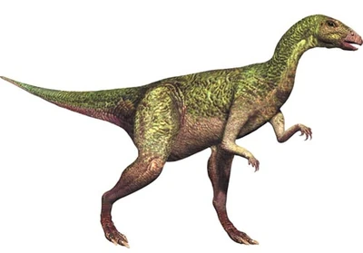 Dryosaurus | Prehistoric Monsters Wiki | Fandom